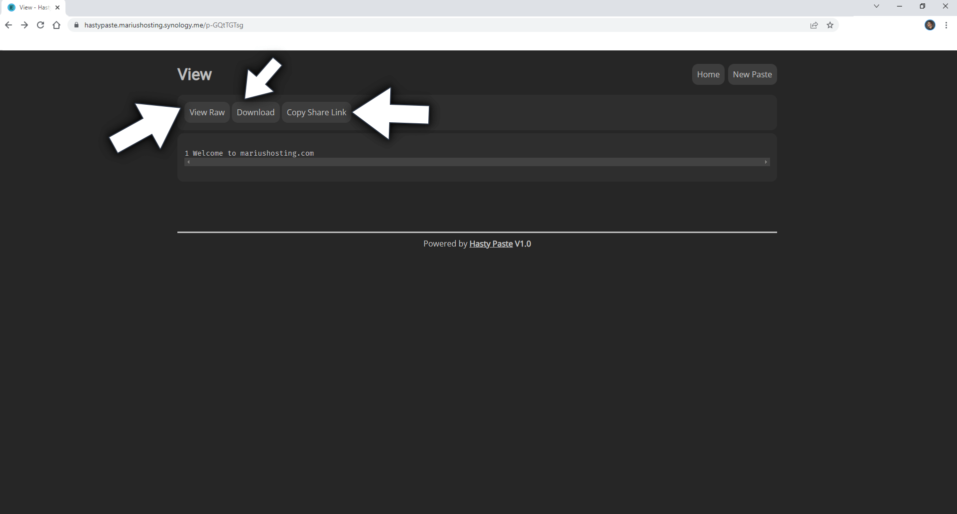 How to Install Hasty Paste on Your Synology NAS – Marius Hosting
