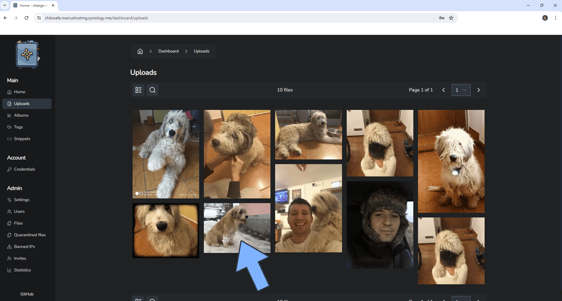 How to Install Chibisafe on your Synology NAS – Marius Hosting