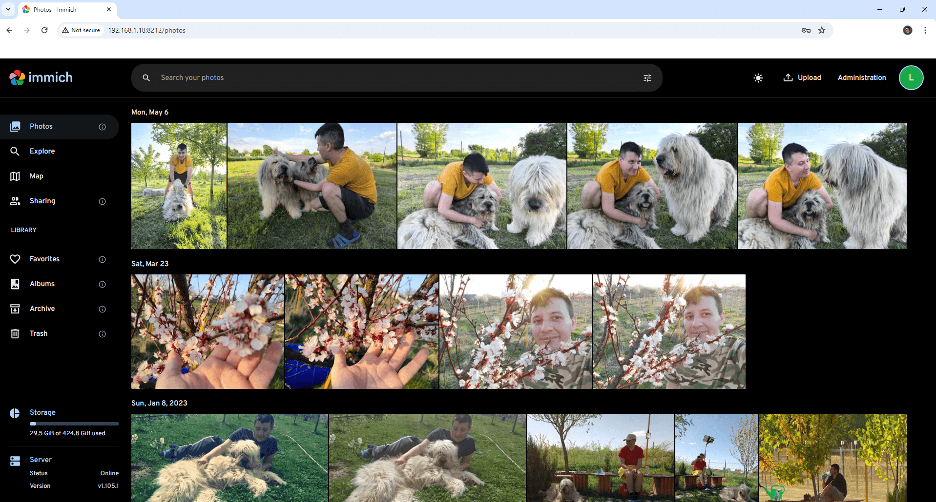How to Install Immich on Your Synology NAS – Marius Hosting